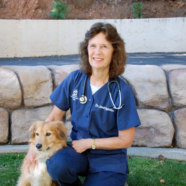 Our Team | Sierra Veterinary Care